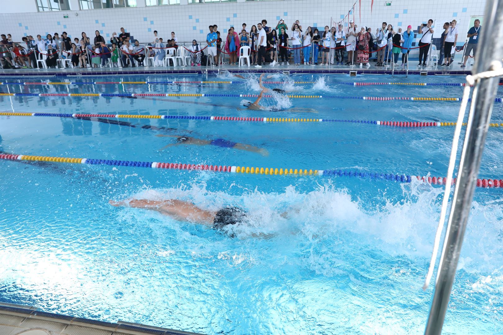 GST 2023 - Swimming - 14th SABIS® GLOBAL SPORTS TOURNAMENT - ABU DHABI 2025